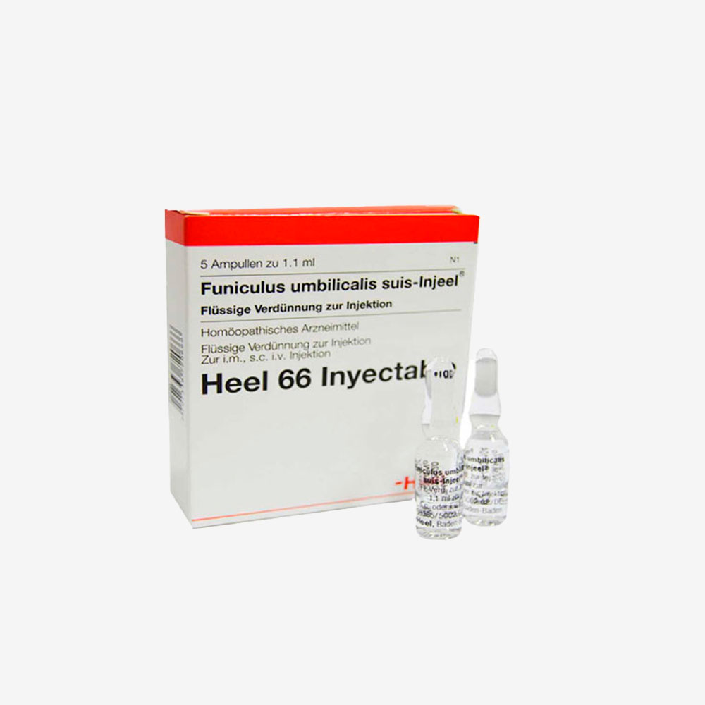 FUNICULUS-UMBILICALIS-SUIS AMPOLLA X 1.1 ML - DoctorPet.co